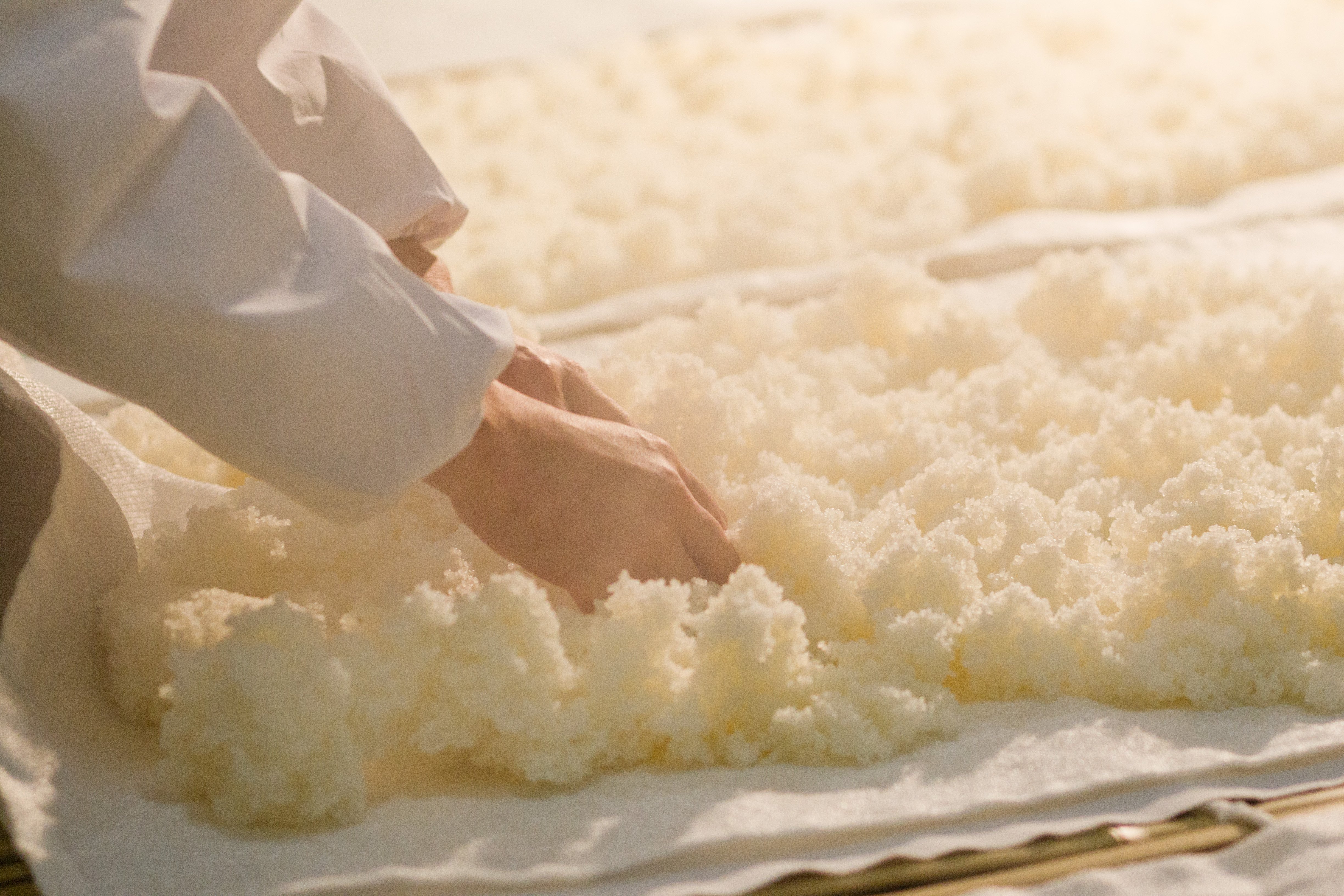 A guide to sake : Whisky and Spirits Guides