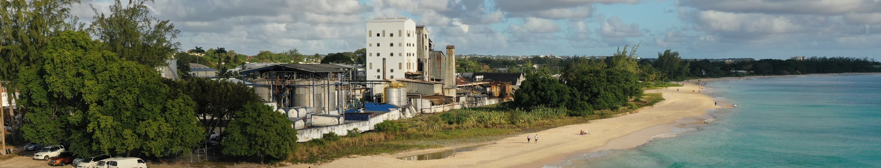 A guide to Barbados rum : Whisky and Spirits Guides