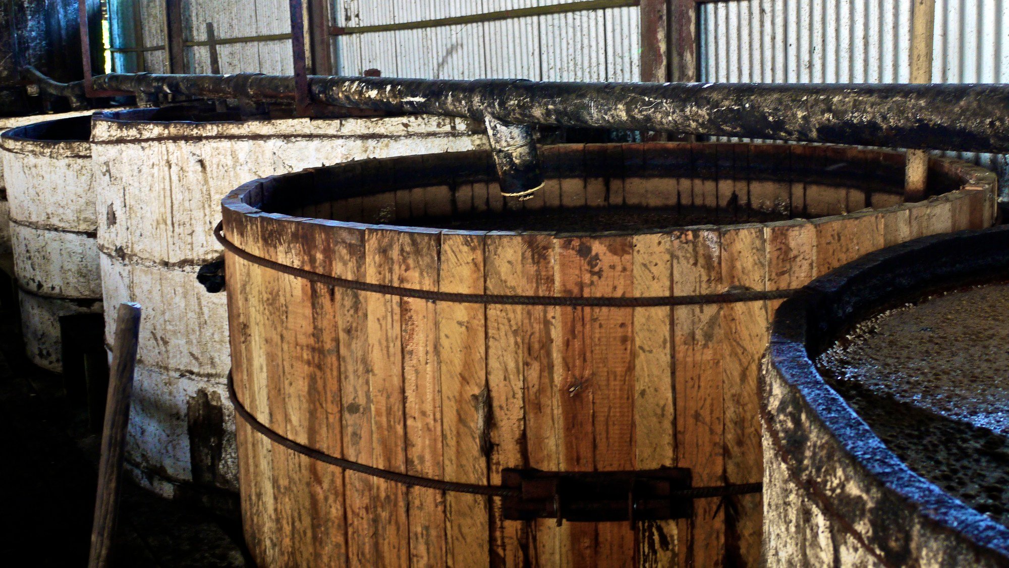 Jamaican rum: history, distilleries and brands : Whisky and Spirits Guides