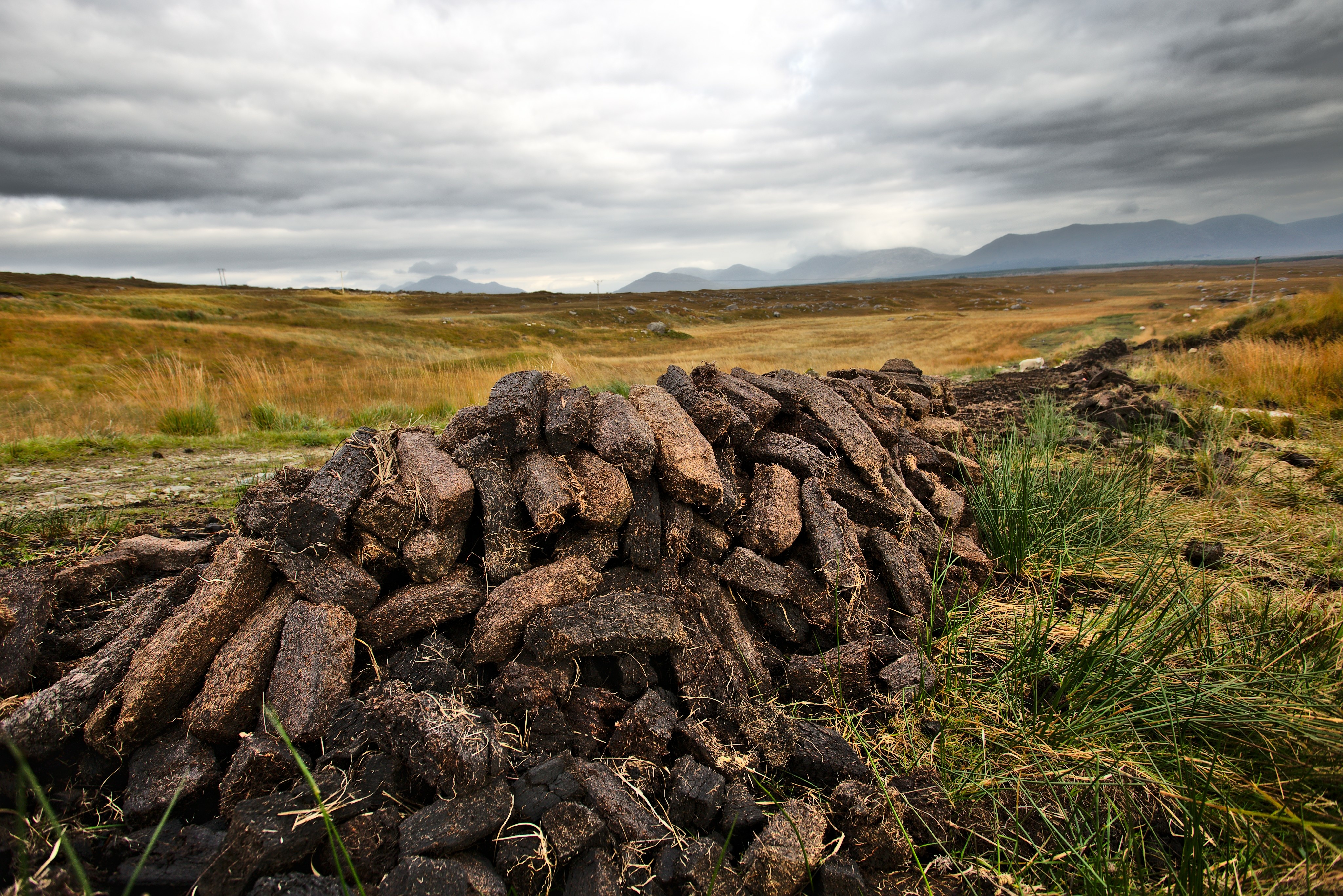 What is Scotch whisky? Scotch whisky history and styles : Whisky and ...